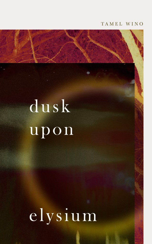 Dusk Upon Elysium – Editorial Review – The Book Review Directory